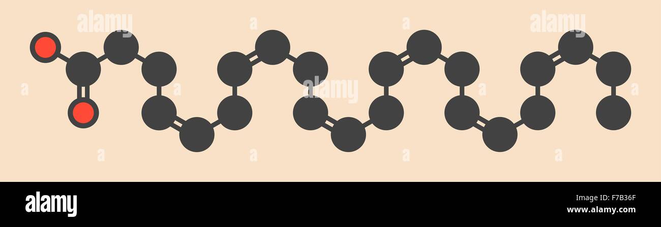 Docosahexaenoic acid (DHA, cervonic acid) molecule. Polyunsaturated ...