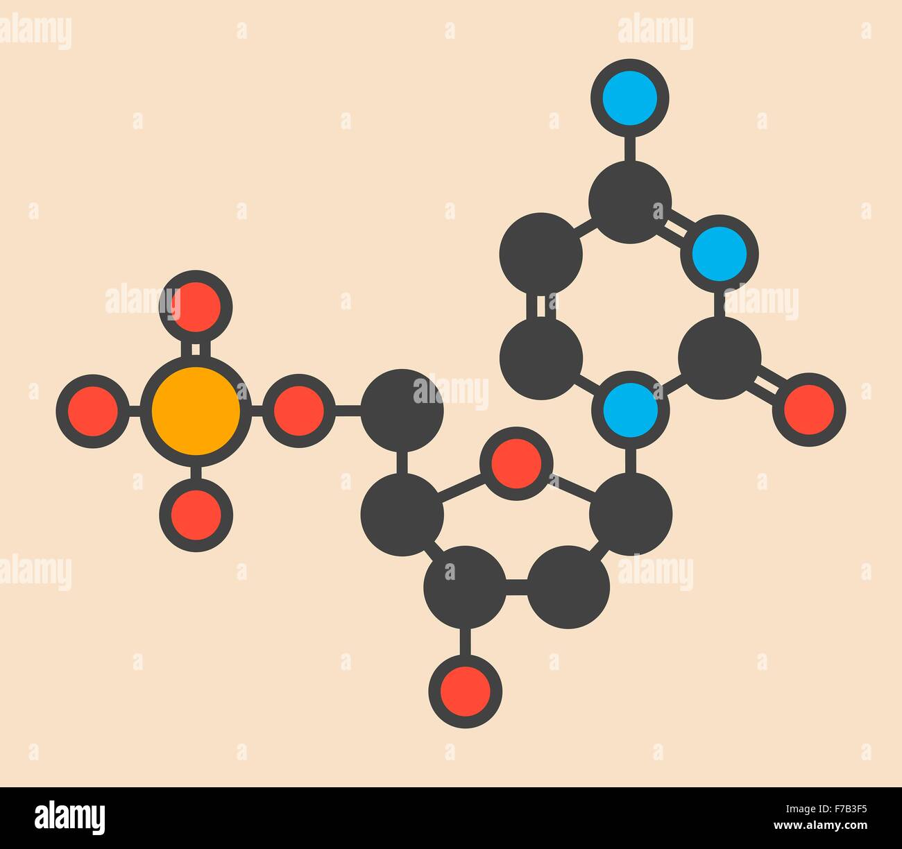 Deoxycytidine monophosphate (dCMP) nucleotide molecule. DNA building ...