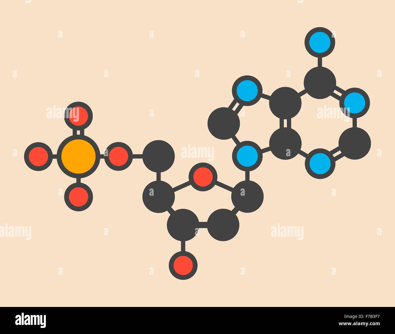 Deoxyadenosine monophosphate (dAMP) nucleotide molecule. DNA building ...