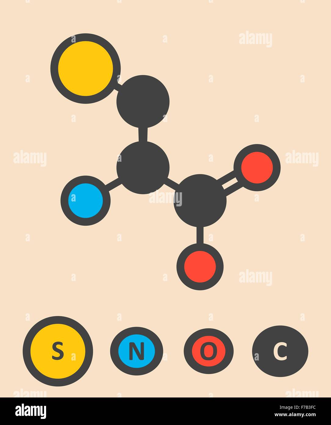 Cysteine amino acid molecule hi-res stock photography and images - Alamy