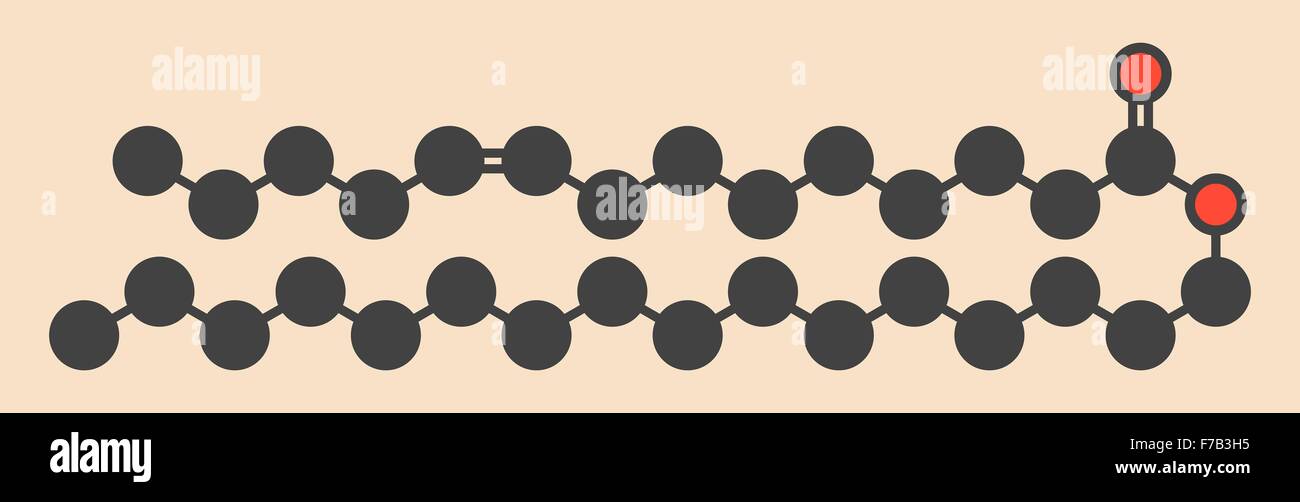 Cetyl myristoleate food supplement molecule. Cetylated fatty acid that ...