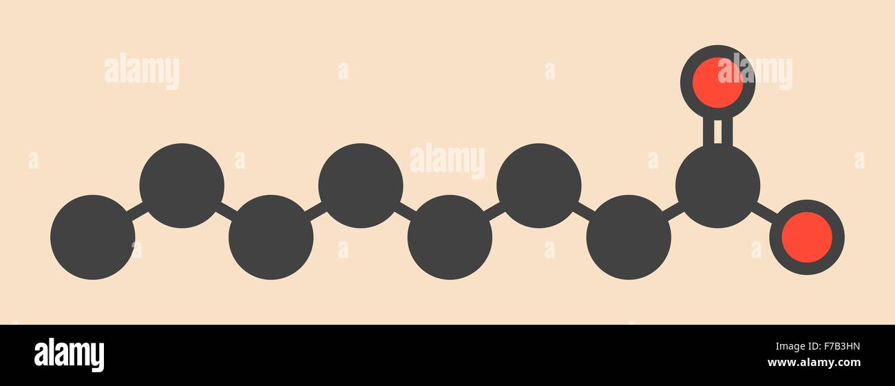 Caprylic Acid Structure