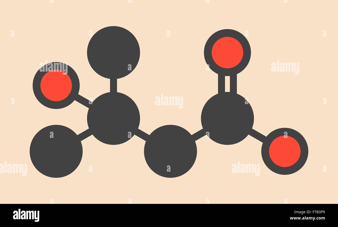 Beta-hydroxy beta-methylbutyric acid (HMB) leucine metabolite molecule ...