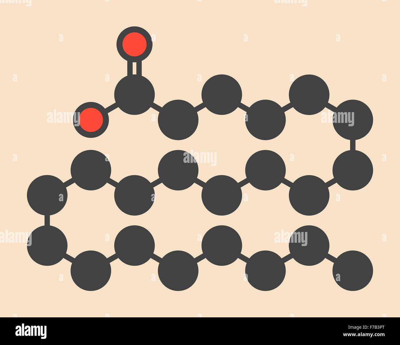 Behenyl behenate hi-res stock photography and images - Alamy