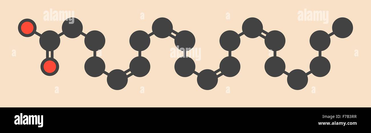 Arachidonic acid molecule. Polyunsaturated omega-6 fatty acid that is a ...