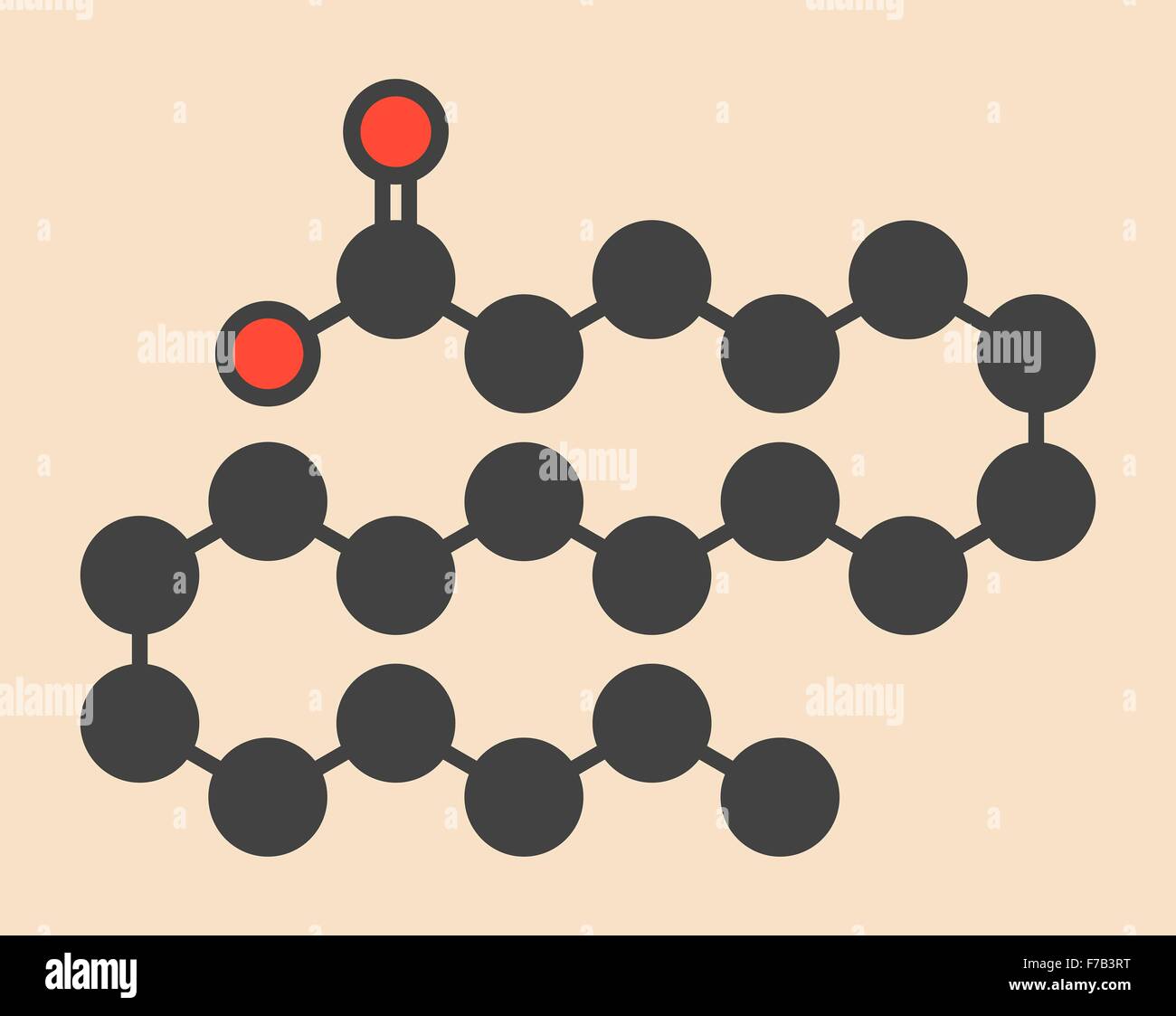 Arachidic acid hi-res stock photography and images - Alamy