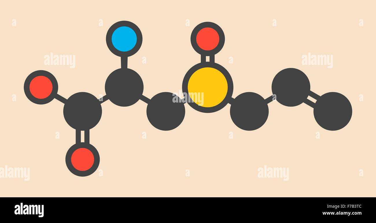 Alliin garlic molecule. Stylized skeletal formula (chemical structure ...