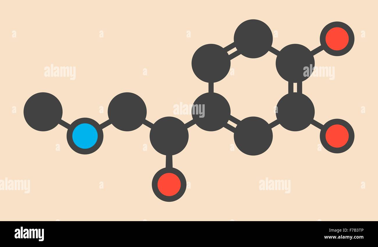 Adrenaline (adrenalin, epinephrine) neurotransmitter molecule. Used as ...