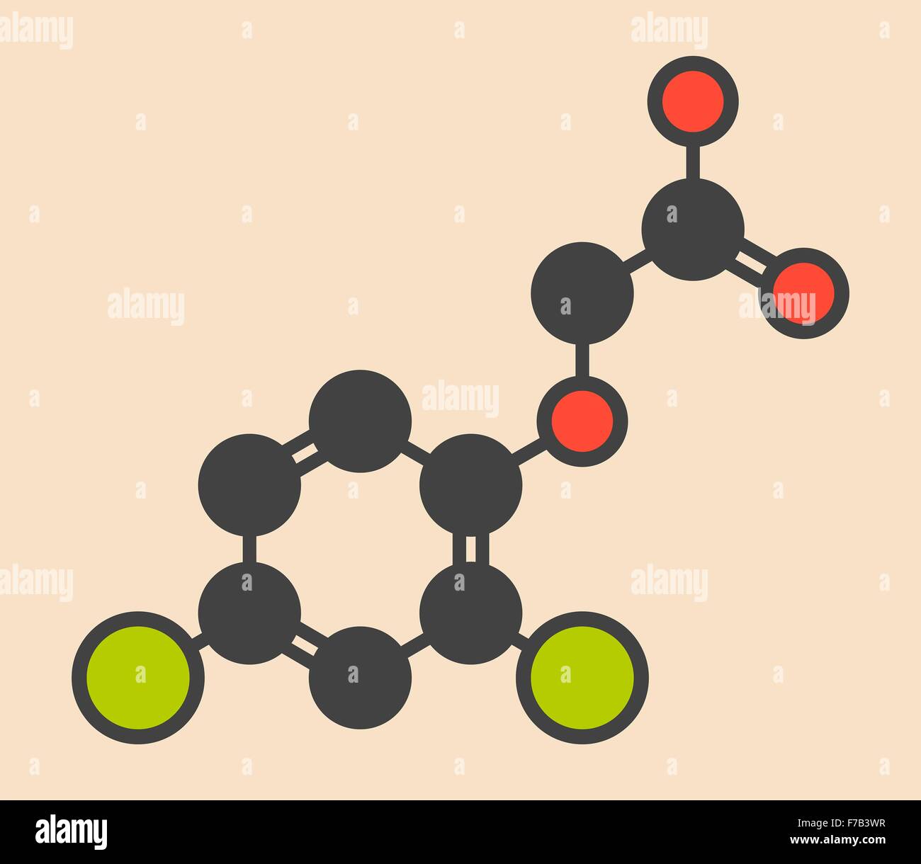 Auxin hi-res stock photography and images - Alamy