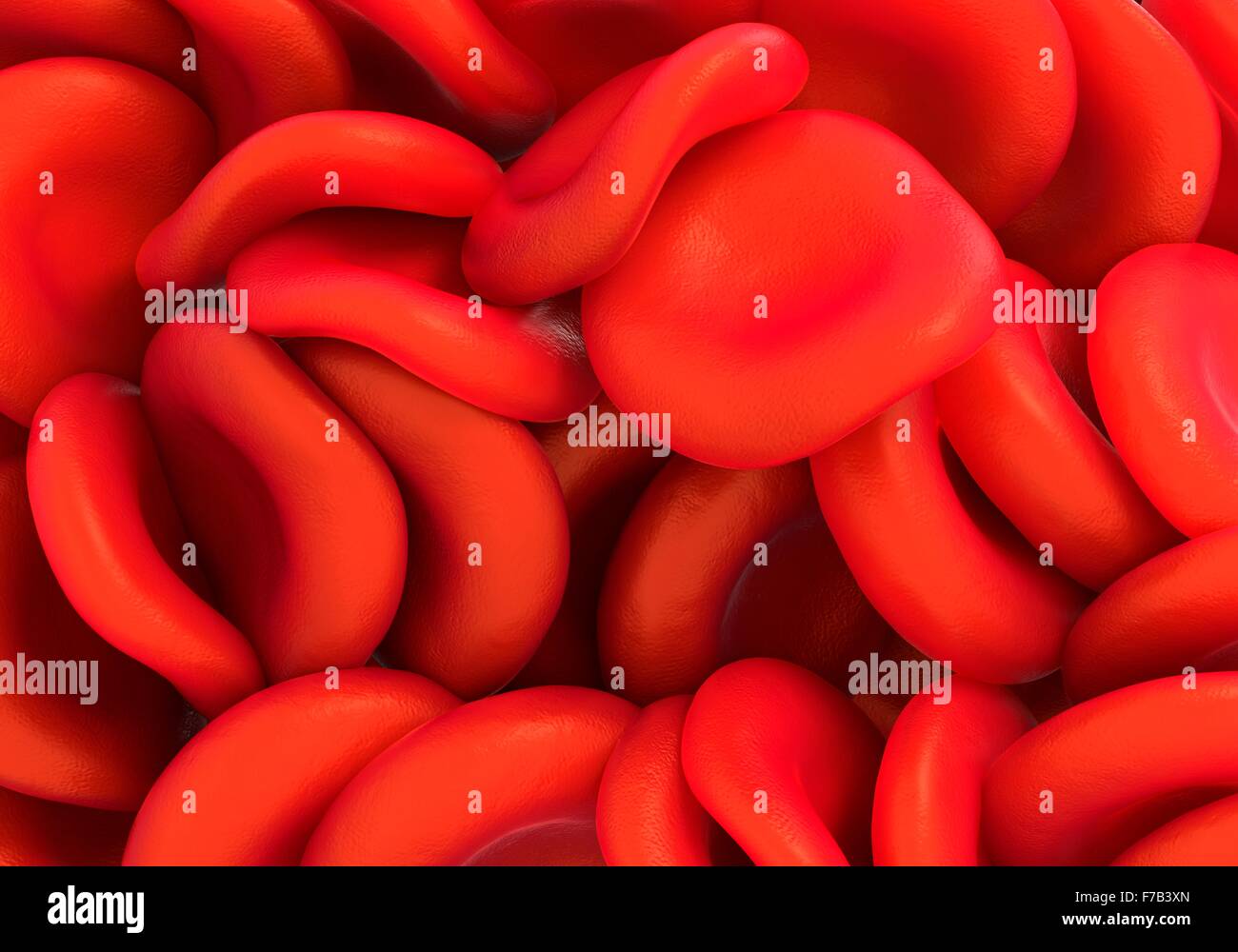 Red blood cells, computer illustration Stock Photo - Alamy