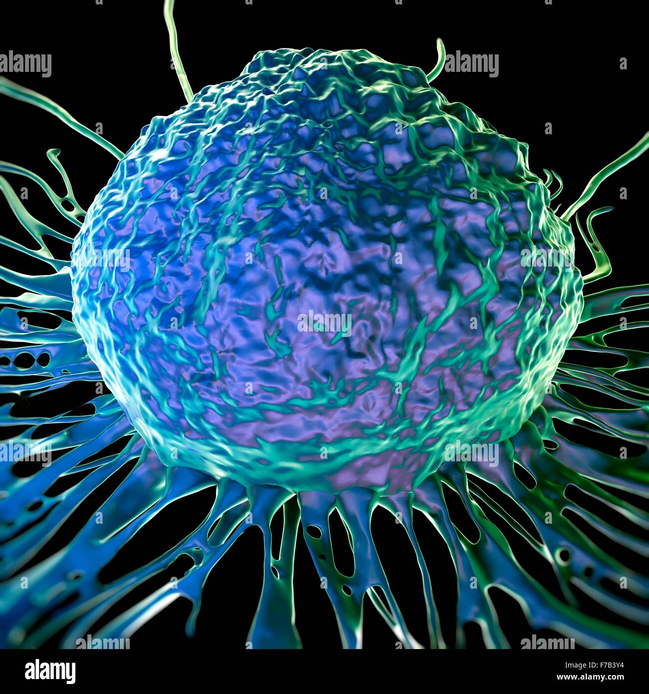 Cancer cell, computer illustration Stock Photo - Alamy