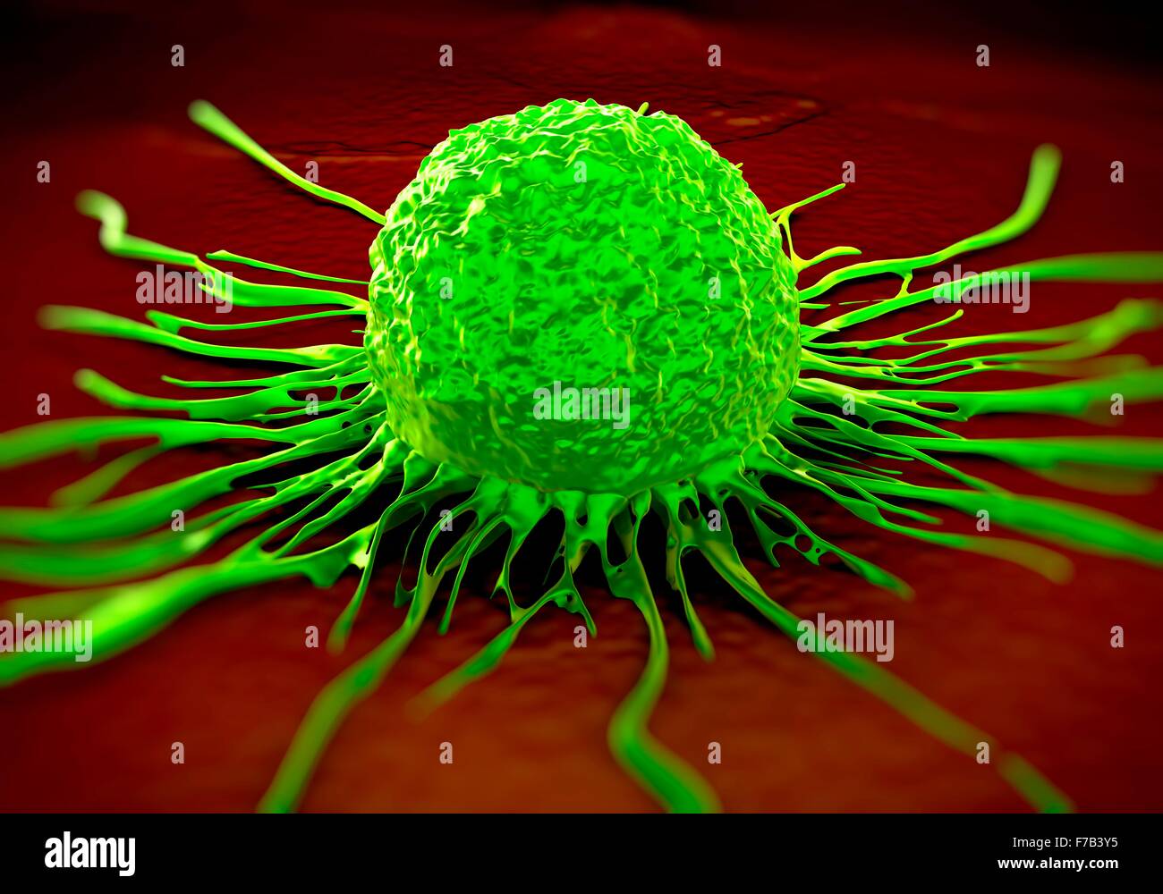 Cancer cell, computer illustration Stock Photo - Alamy
