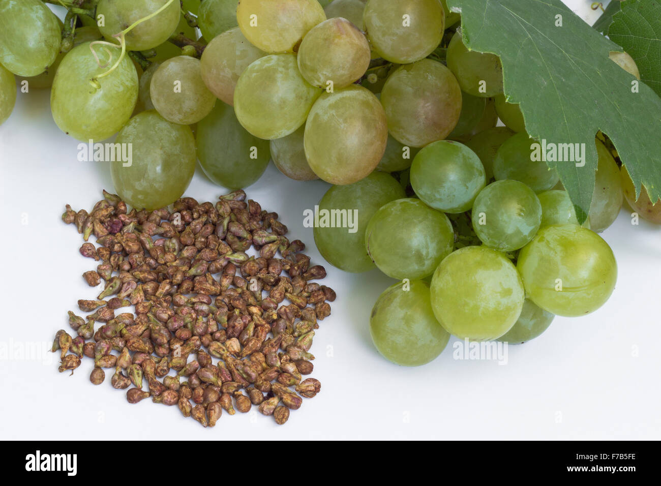 Grape seed hi-res stock photography and images - Alamy