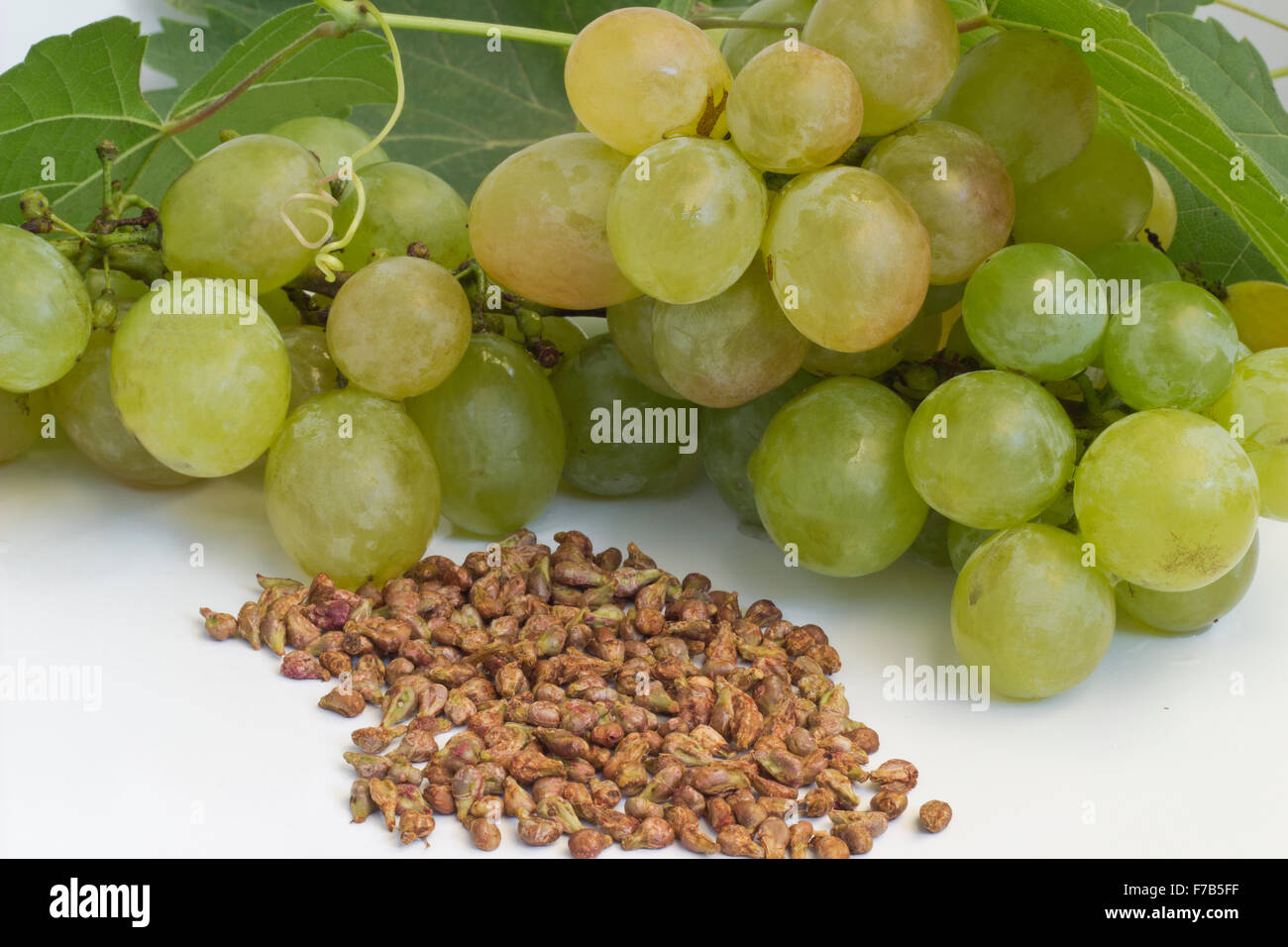 Grape seed hi-res stock photography and images - Alamy