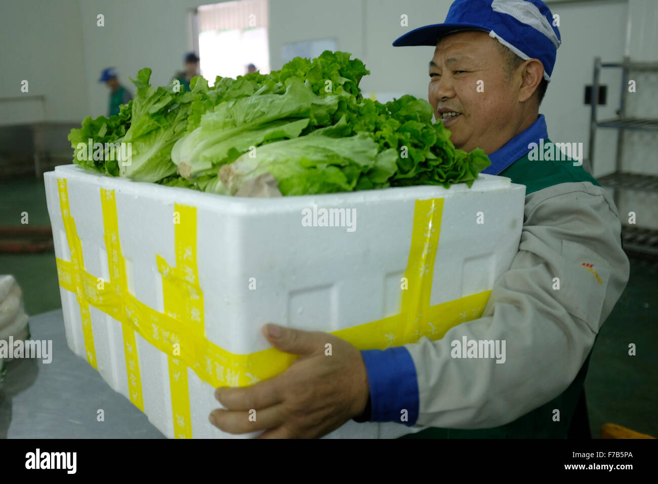 Chengdu, China' Sichuan Province. 28th Nov, 2015. A worker packs ...