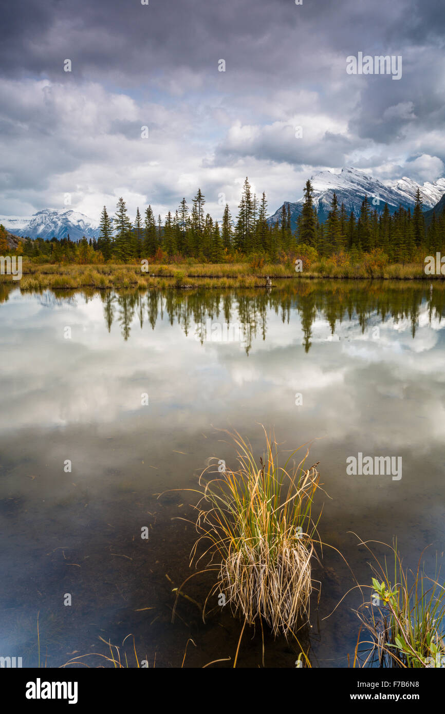 Vermillion Lakes, Banff Nationalpark, Alberta, Canada Stock Photo - Alamy