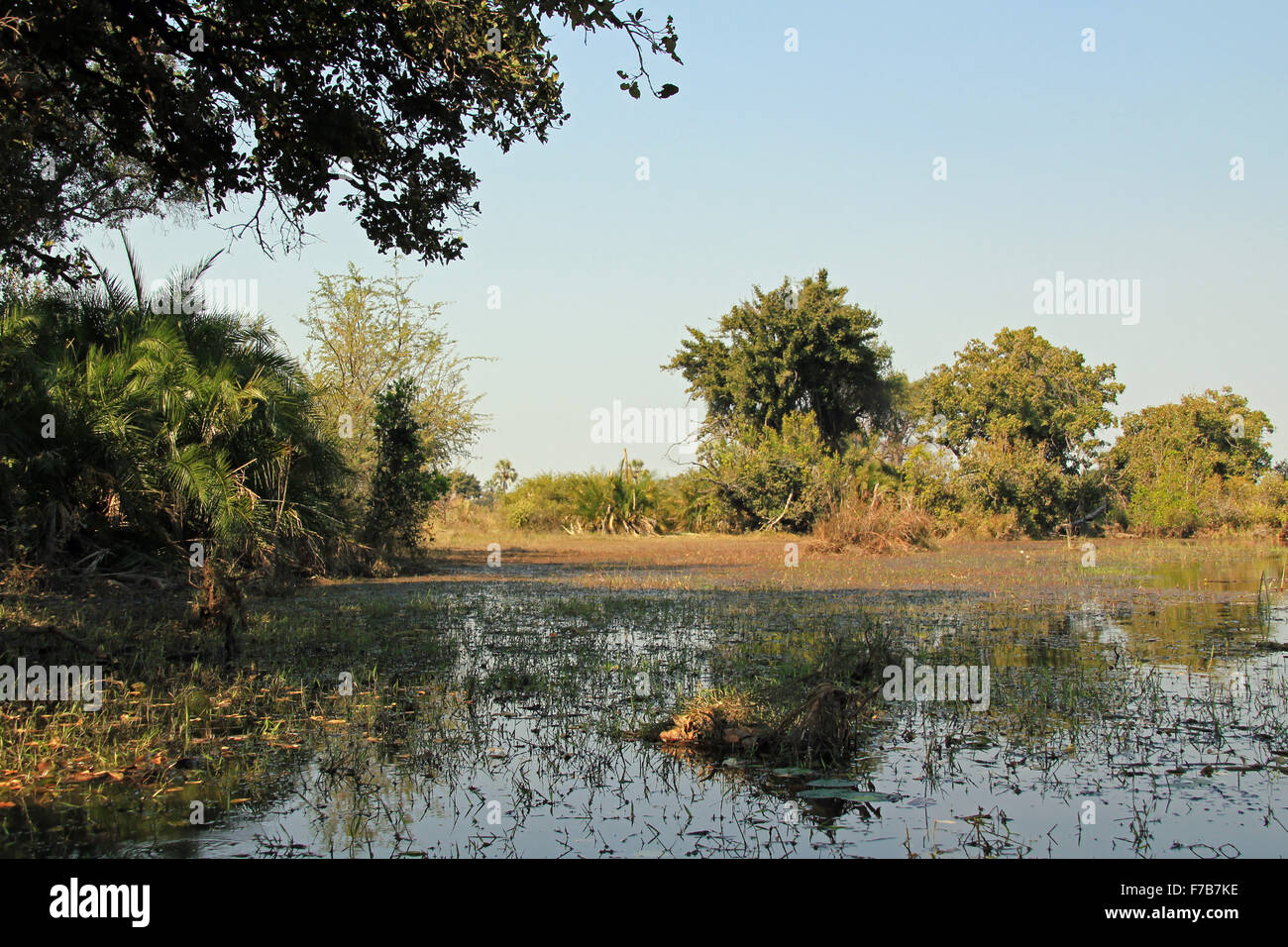 Okavango Delta, Botswana Stock Photo - Alamy