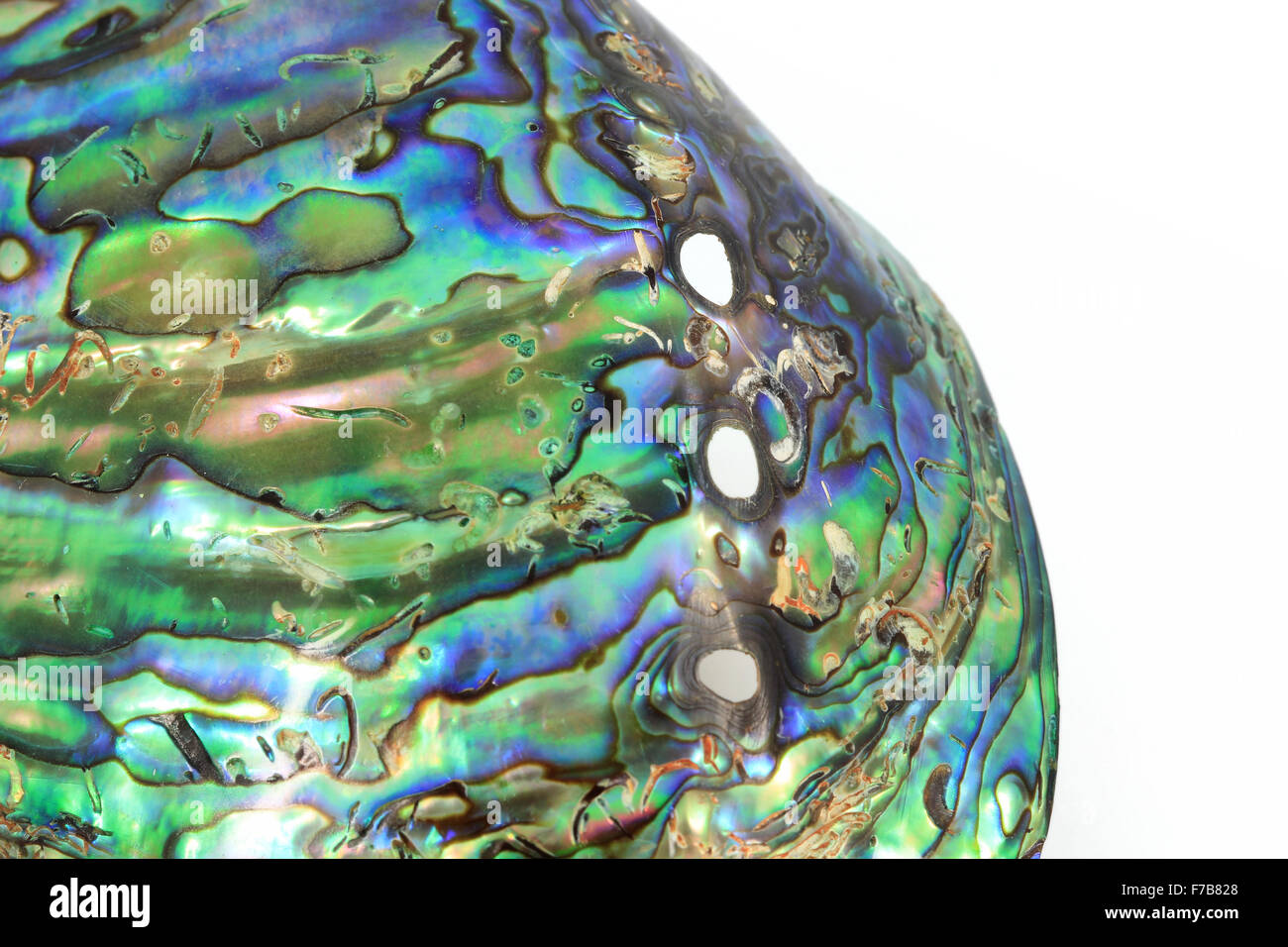 Haliotis cuisine hi-res stock photography and images - Alamy