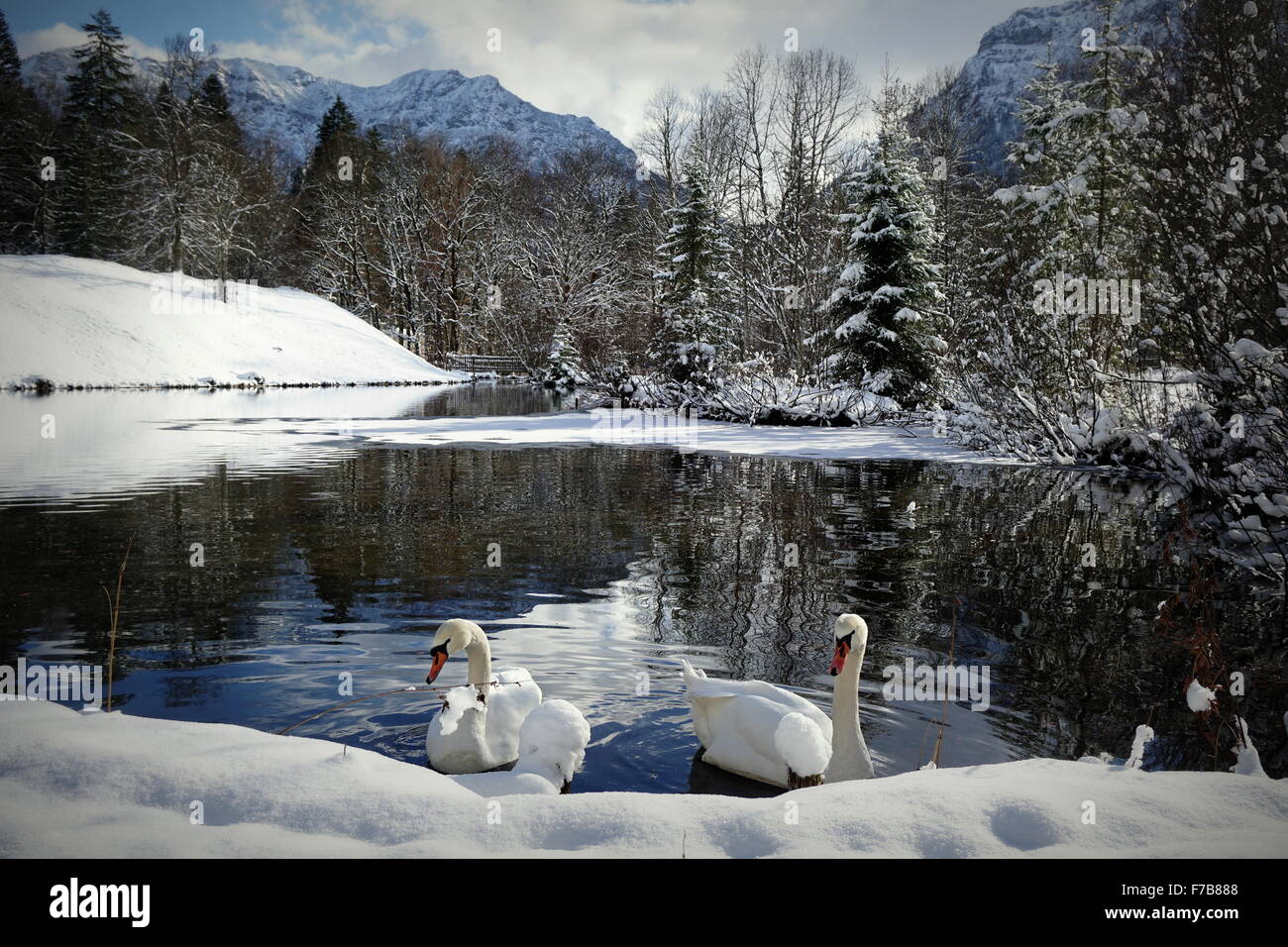 Winter, day light landscape Stock Photo - Alamy