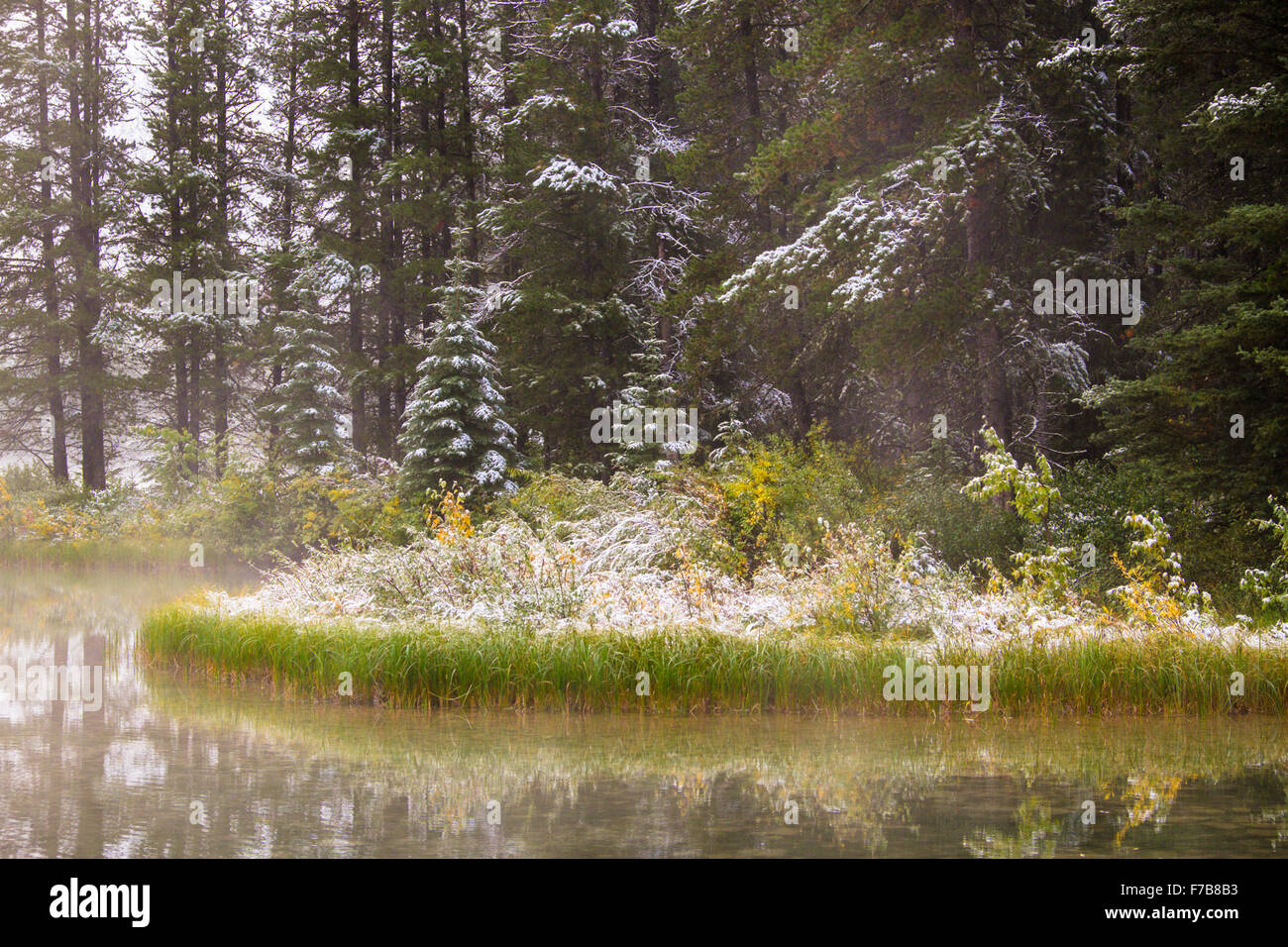 Two Jack Lake, Lakeside Campground, Banff Nationalpark, Alberta, Canada ...