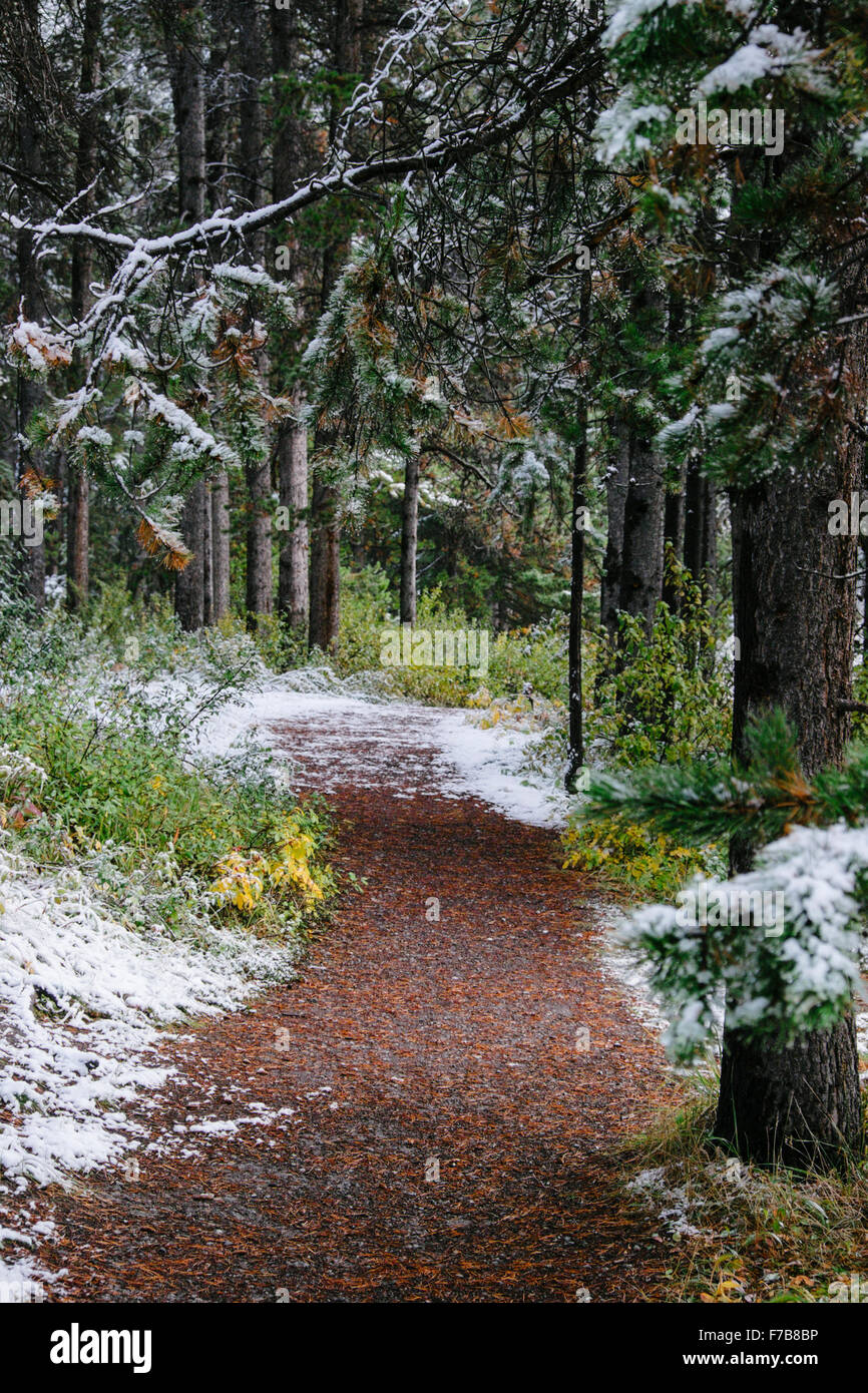 Trail Two Jack Lakeside Campground, Banff Nationalpark, Alberta, Canada ...