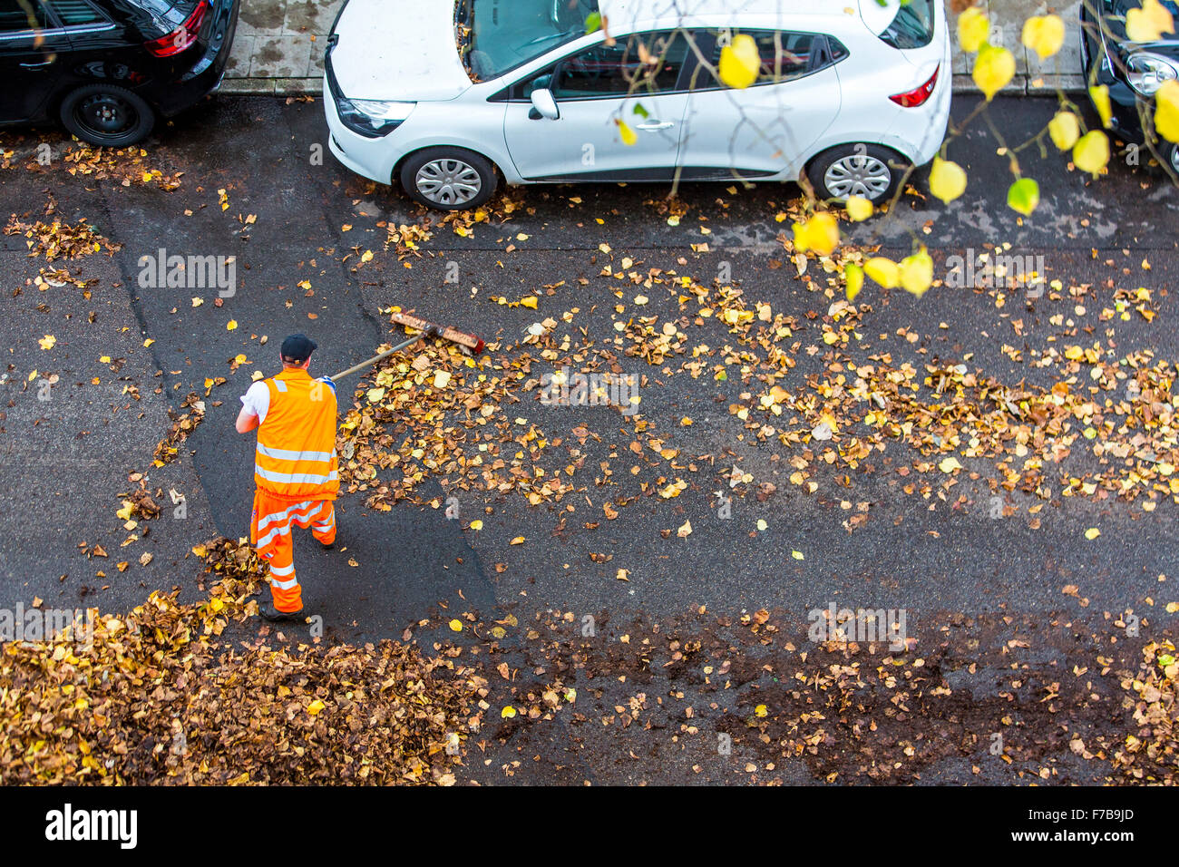 Road sweeper in fall, cleaning a street from fall foliage, Essen ...