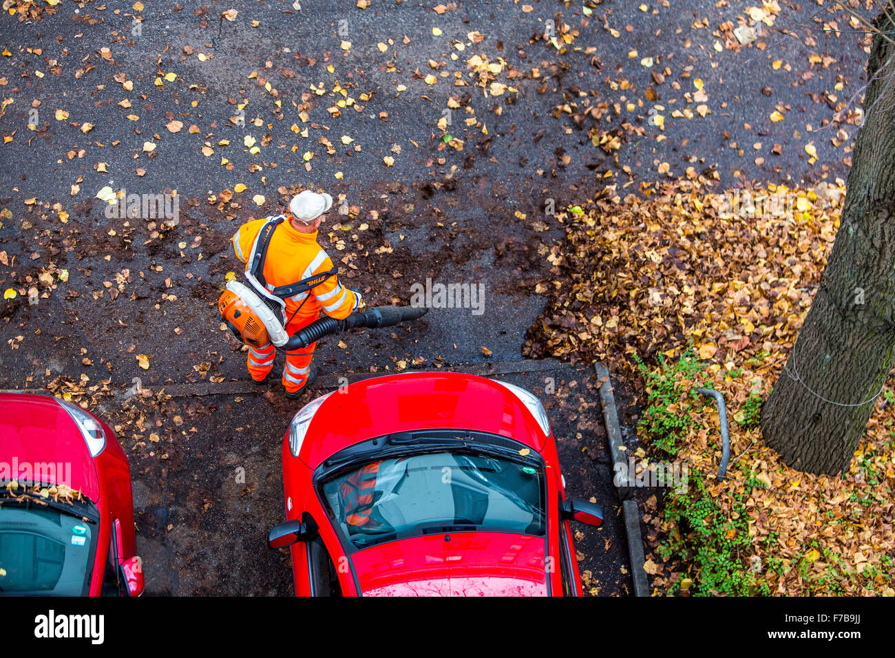 Road sweeper in fall, cleaning a street from fall foliage, Essen ...