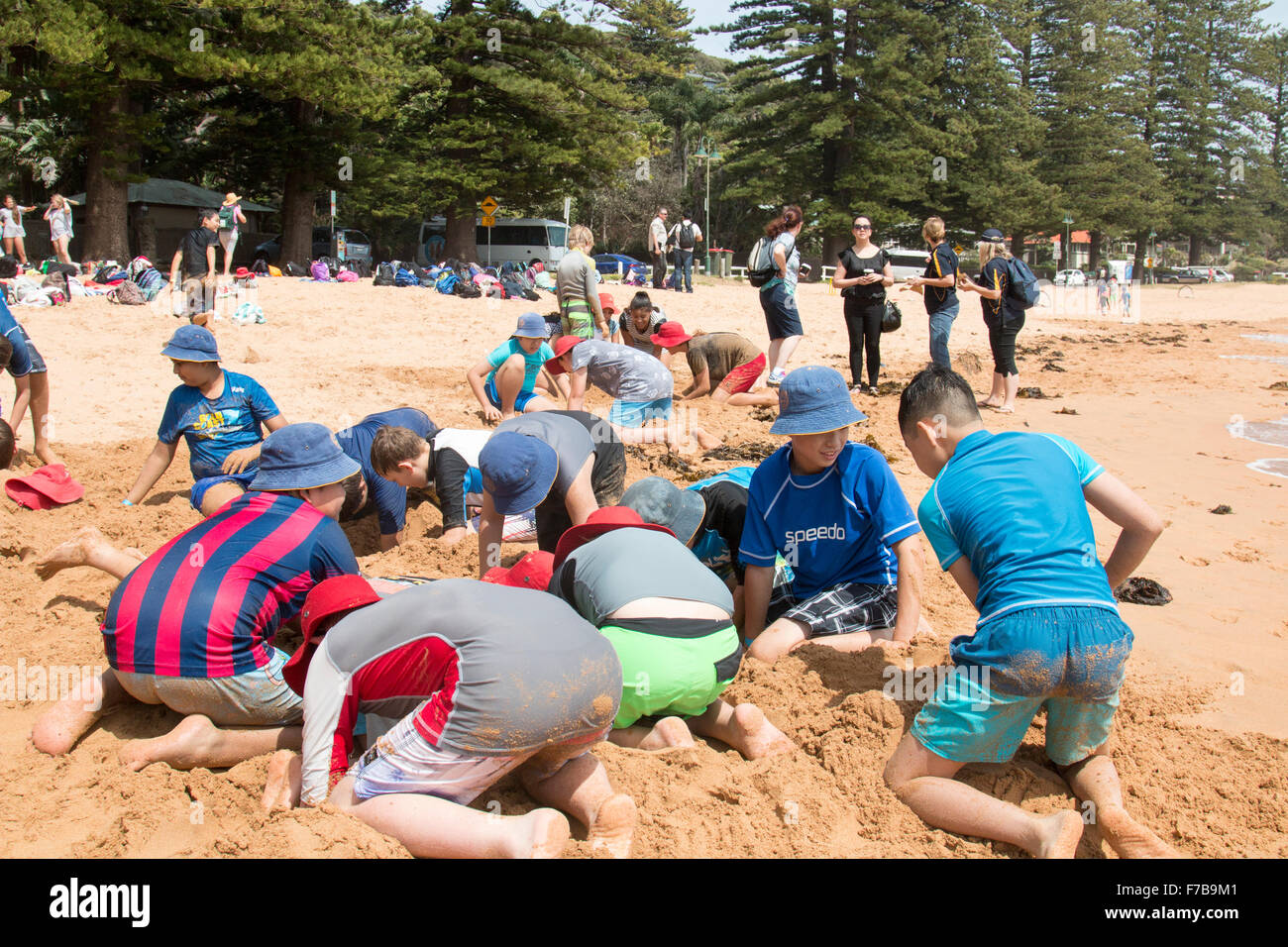 Australian students on the beach hi-res stock photography and images ...