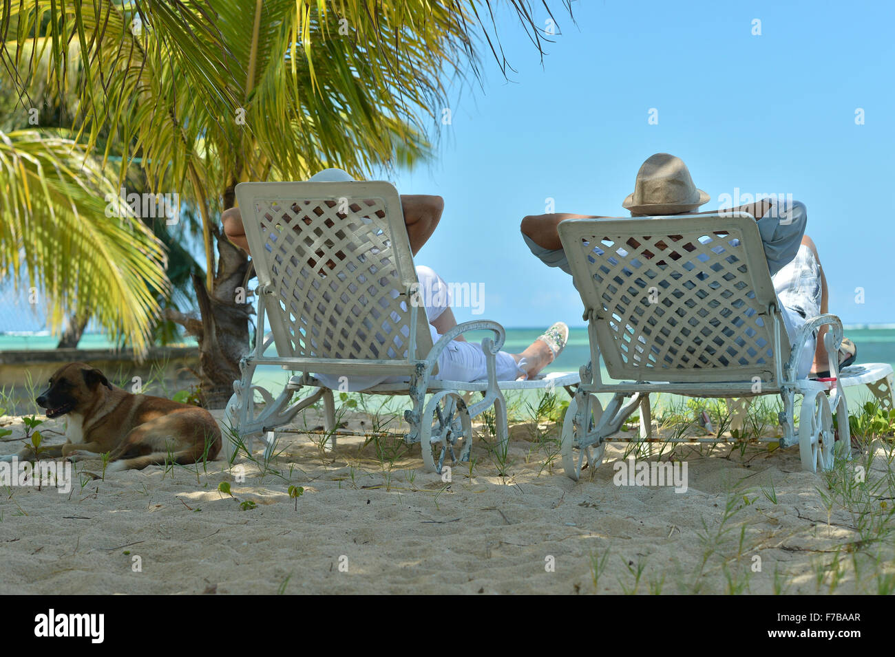 elderly couple rest at tropical resort Stock Photo - Alamy