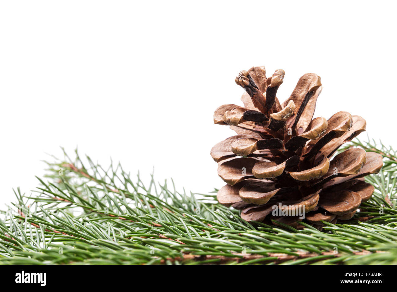 Traditional pine tree christmas border hi-res stock photography and ...