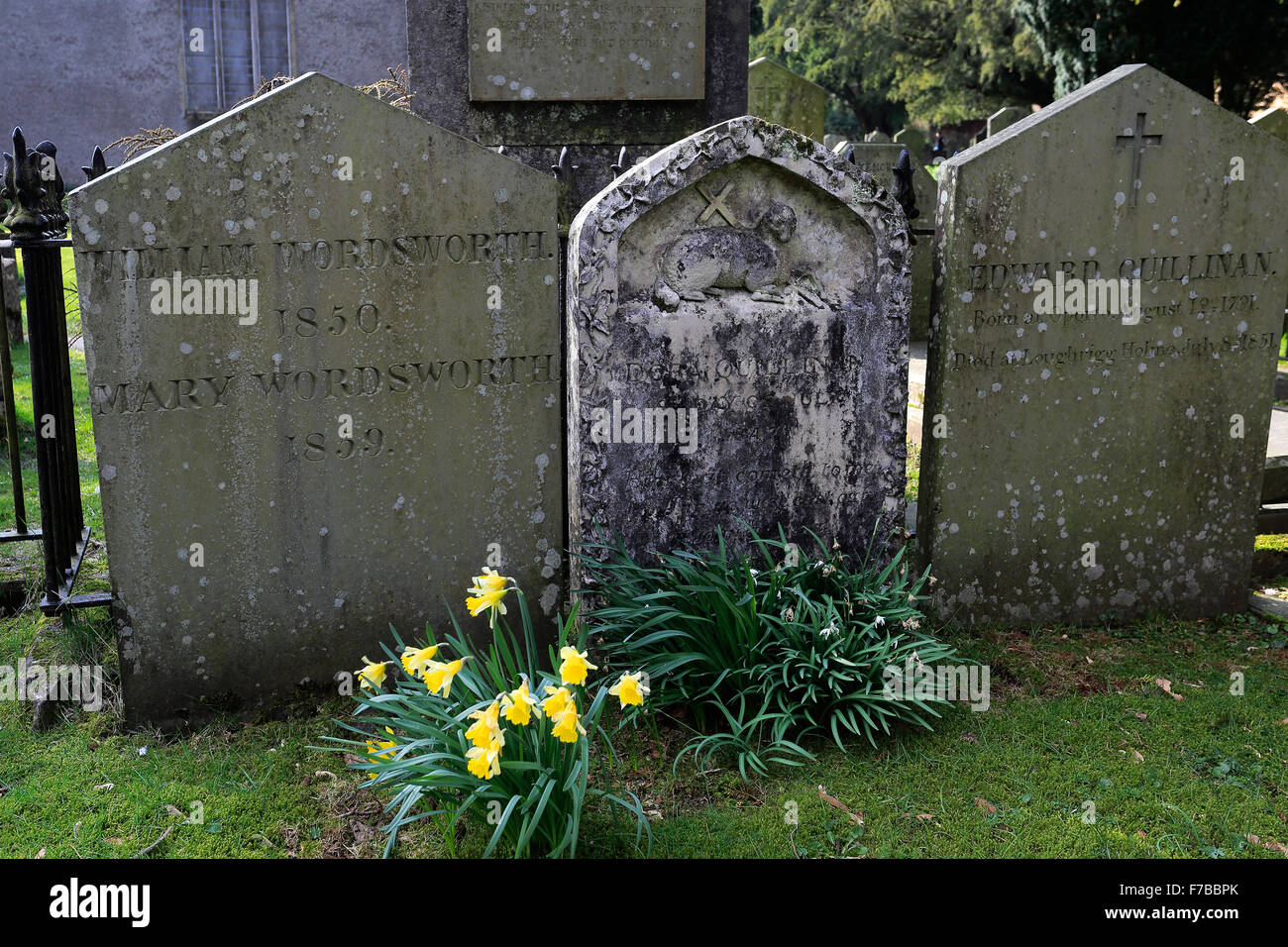 Spring Daffodils, the Wordsworth Graves, Graves of William Wordsworth ...