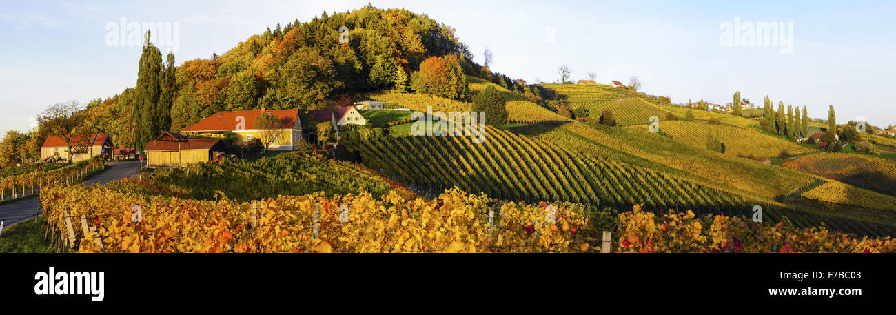 Suedsteirische Weinstrasse, Southern Styria wine route in autumn ...