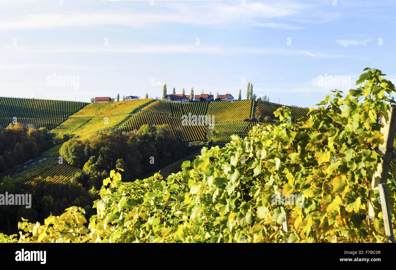 Suedsteirische weinstrasse hi-res stock photography and images - Alamy
