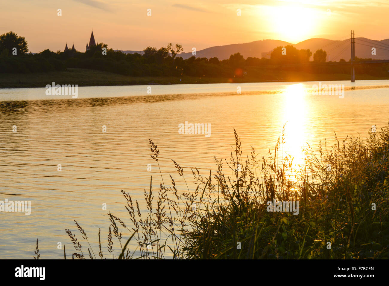 Vienna, River New Danube, Austria Stock Photo - Alamy