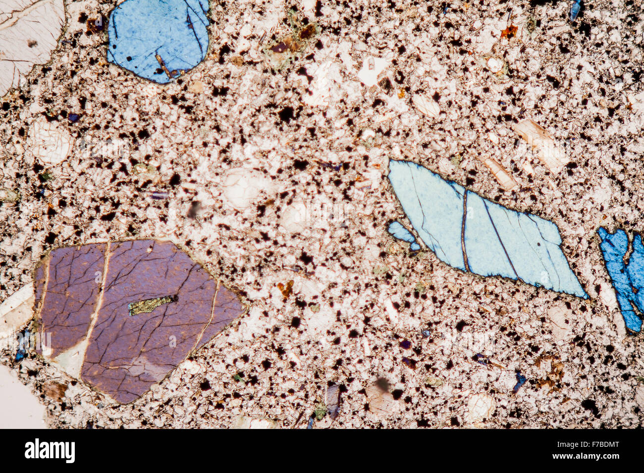 Microscope polarized picrite mineralogy olivine basalt hi-res stock ...