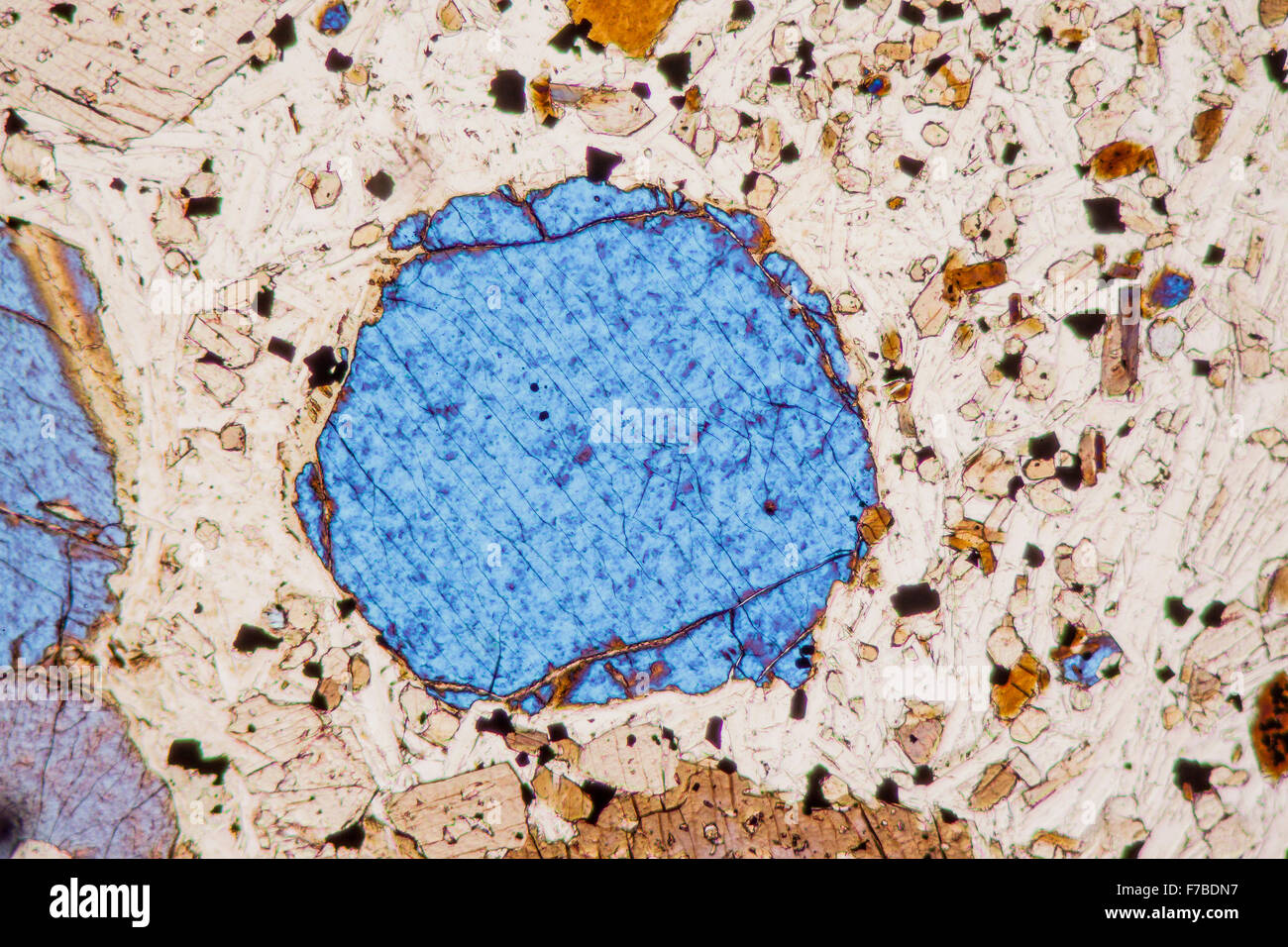 Olivine basalt, cross polarized photomicrograph Stock Photo - Alamy
