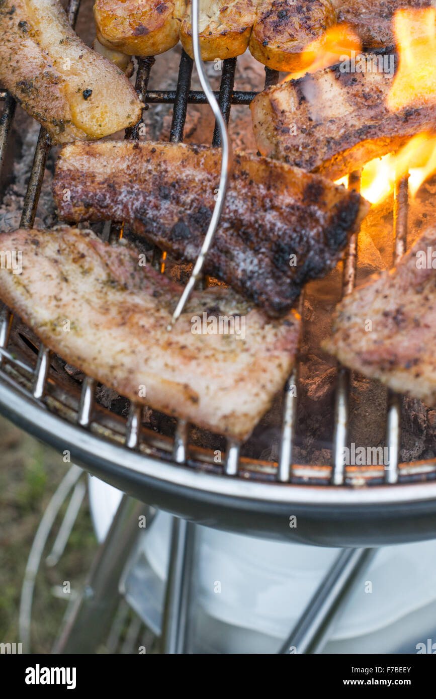 Garden grill party, Austria, Lower Austria, Southern Lower Austria ...