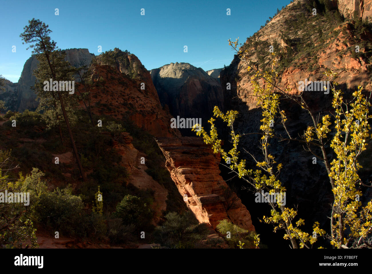 Angel's landing walters wiggles hi-res stock photography and images - Alamy