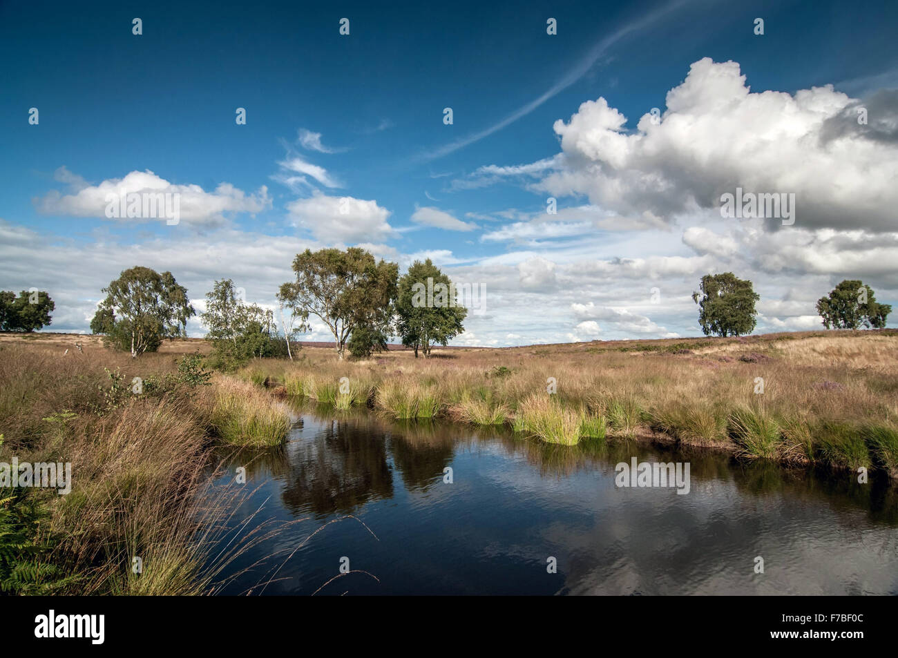 Sherbrook valley cannock chase hi-res stock photography and images - Alamy