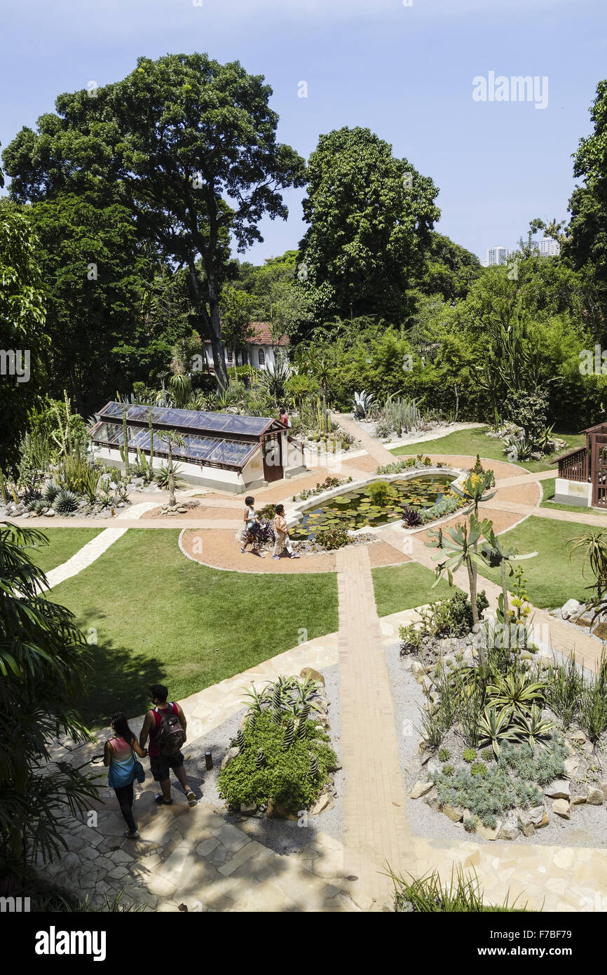 Rio de Janeiro, botanical garden, Jardim Botanico, Brazil Stock Photo ...