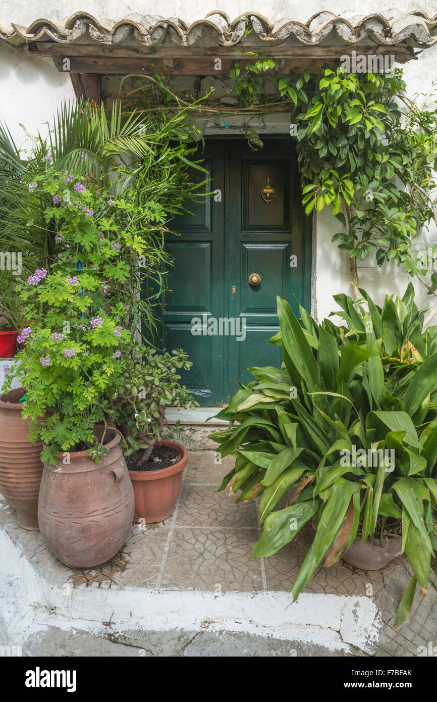 Greek urns filled with plants stand outside a door, Corfu, Greece Stock ...