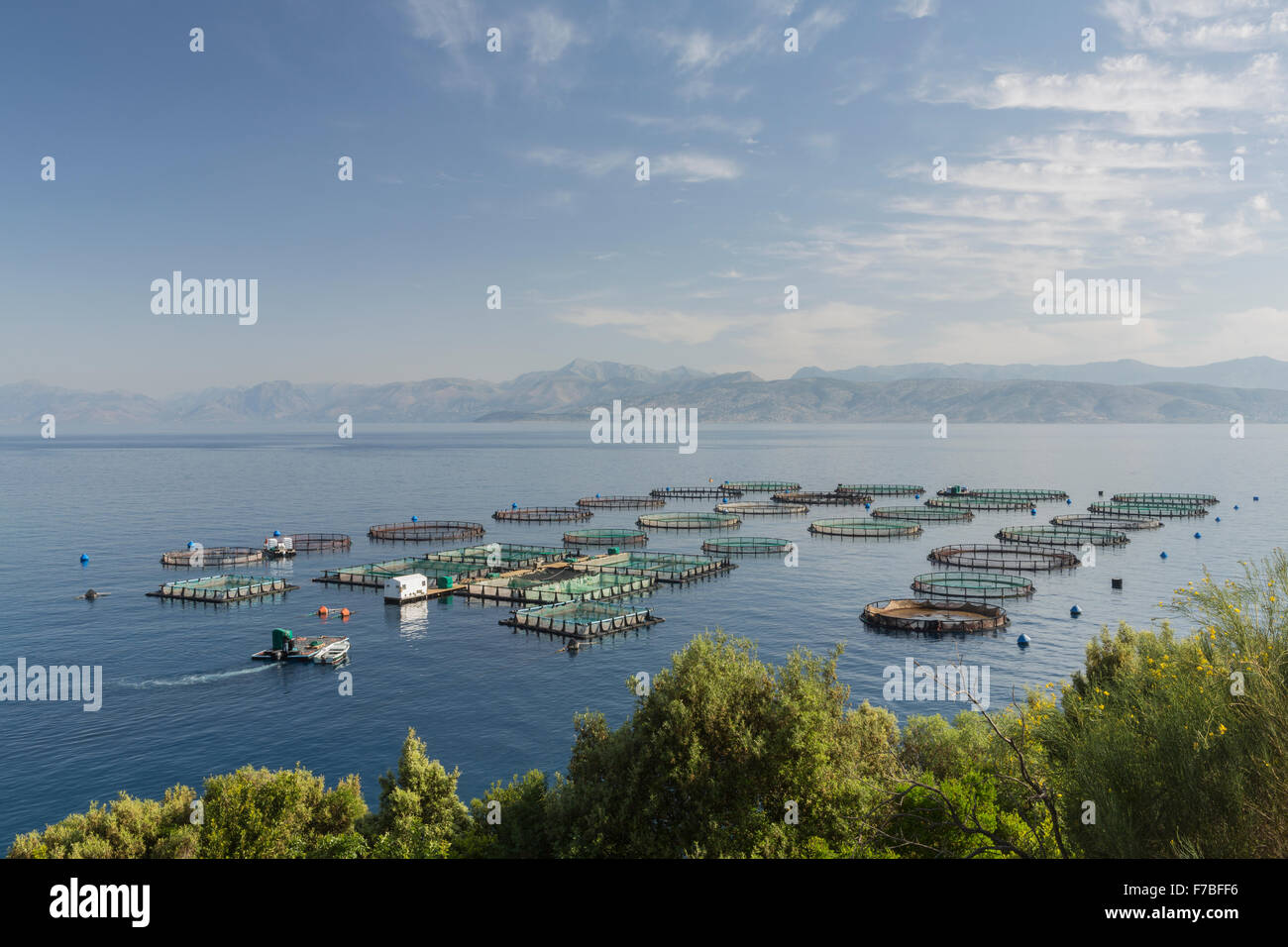 A fish farm in the Ionian Sea, near Kassiopi, Corfu, Greece Stock Photo ...