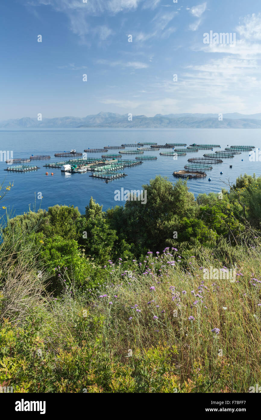 Fishing Farm in the Ionian Sea near Kassiopi, Corfu, Greece Stock Photo ...