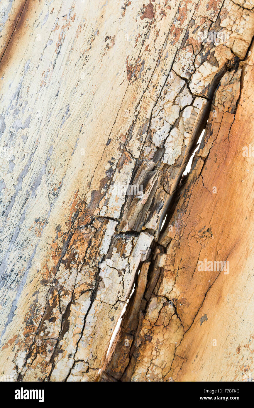 Decaying wood hi-res stock photography and images - Alamy