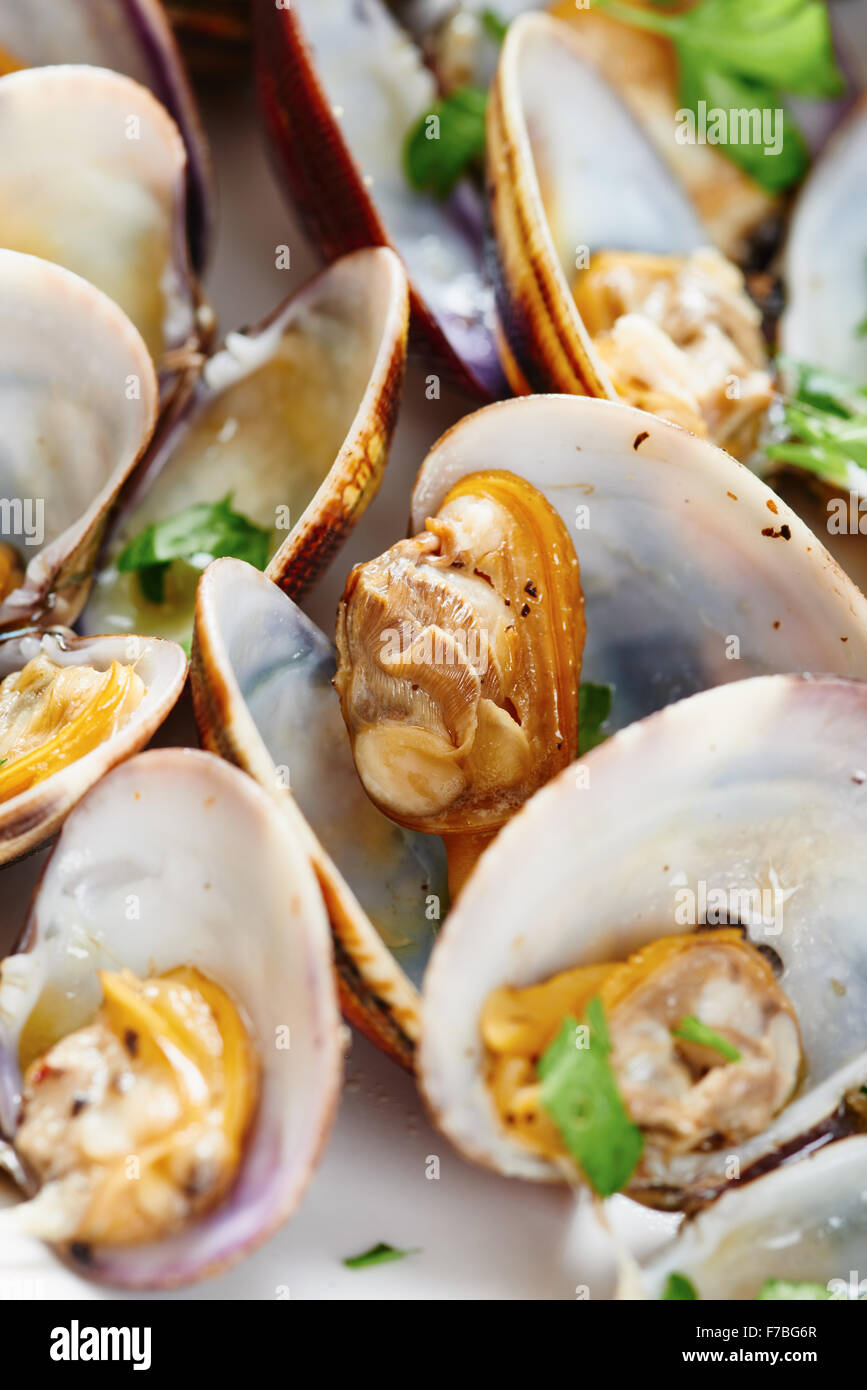 Steamed clams close up Stock Photo - Alamy