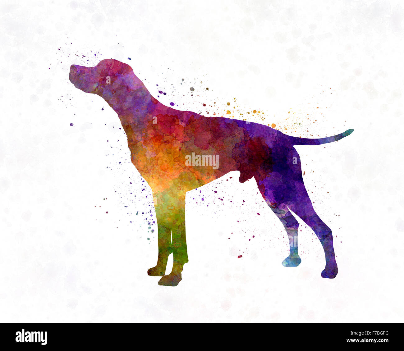 English art print Cut Out Stock Images & Pictures - Alamy