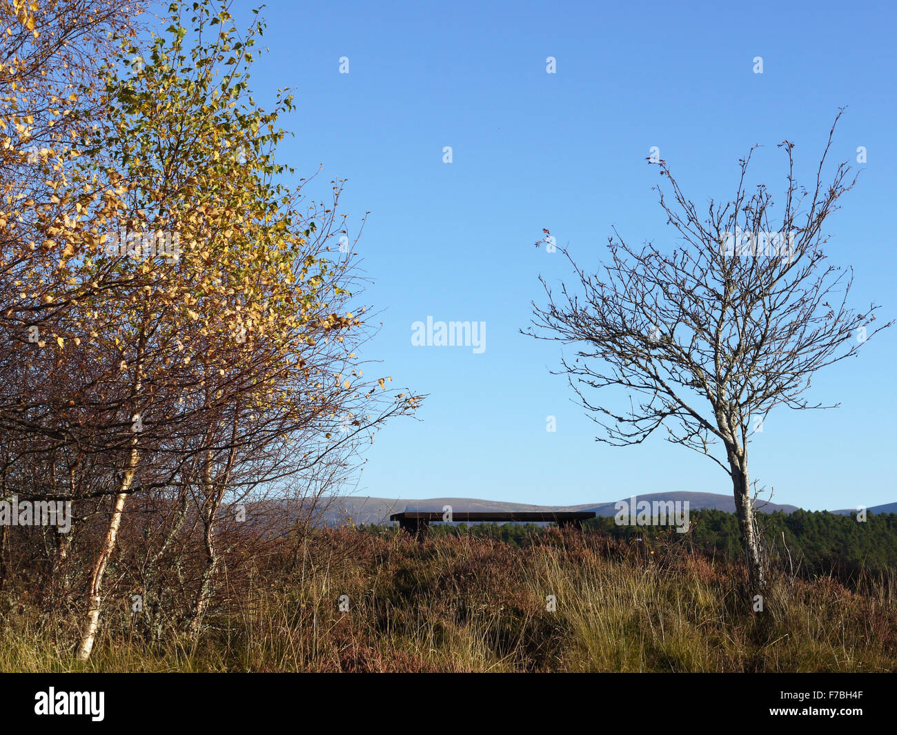 Autumn colours on the Badenoch Way walking trail in the scottish ...