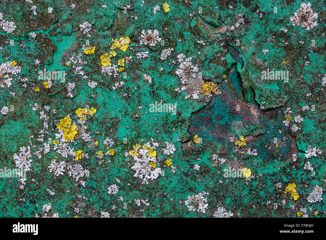 Solid green background texture design hi-res stock photography and ...