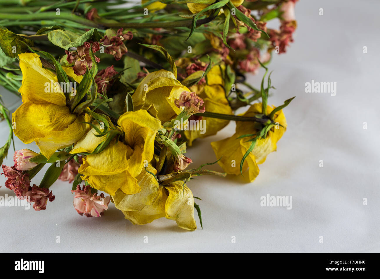 Yellow roses dried hi-res stock photography and images - Alamy