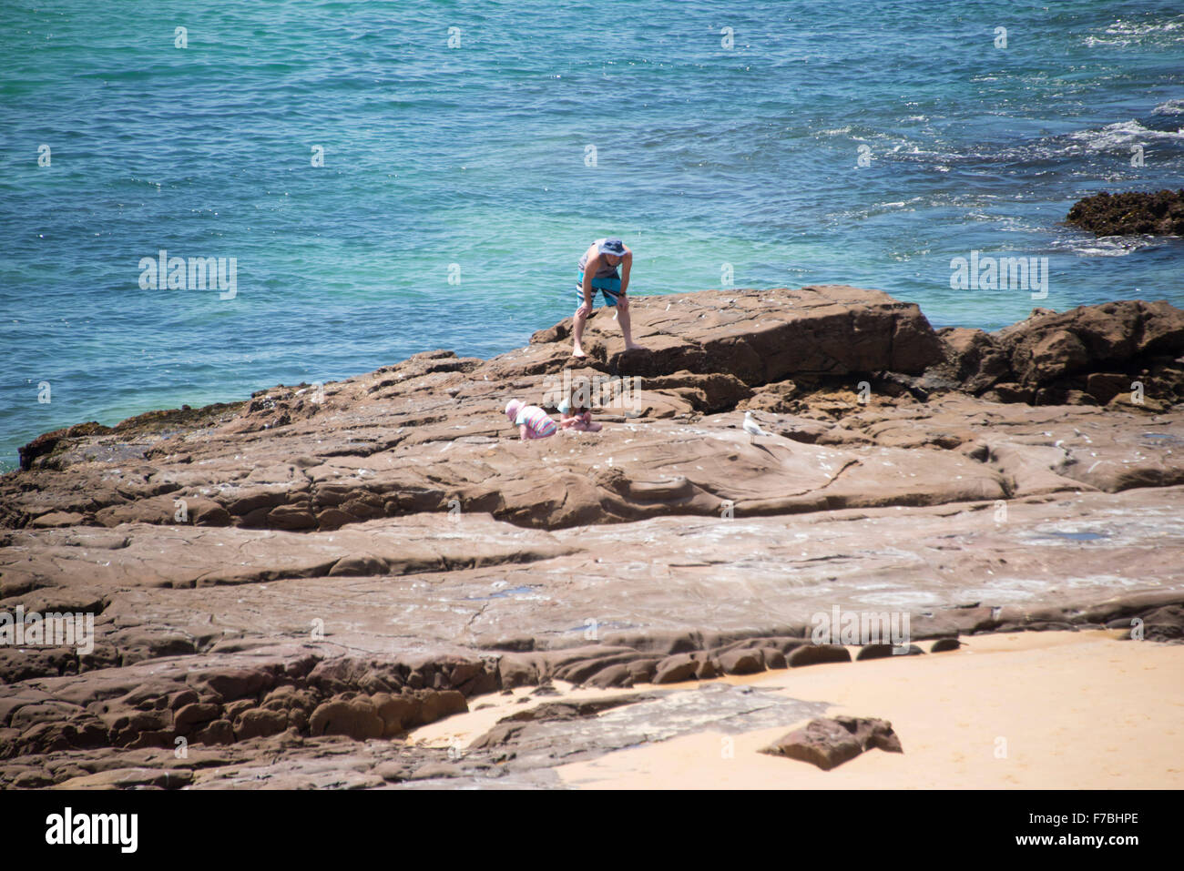 Day rock pooling hi-res stock photography and images - Alamy